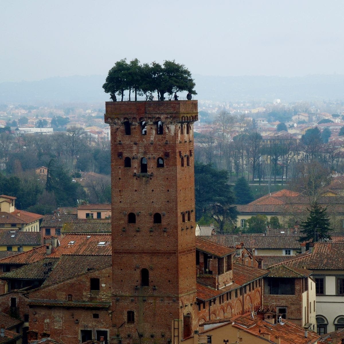 Guinigi Tower | Isolated Traveller